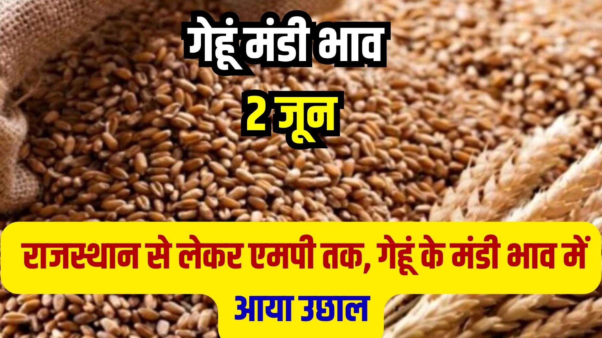 Gehun Mandi Bhav Today 2 June: राजस्थान से लेकर एमपी तक, सोमवार को ...