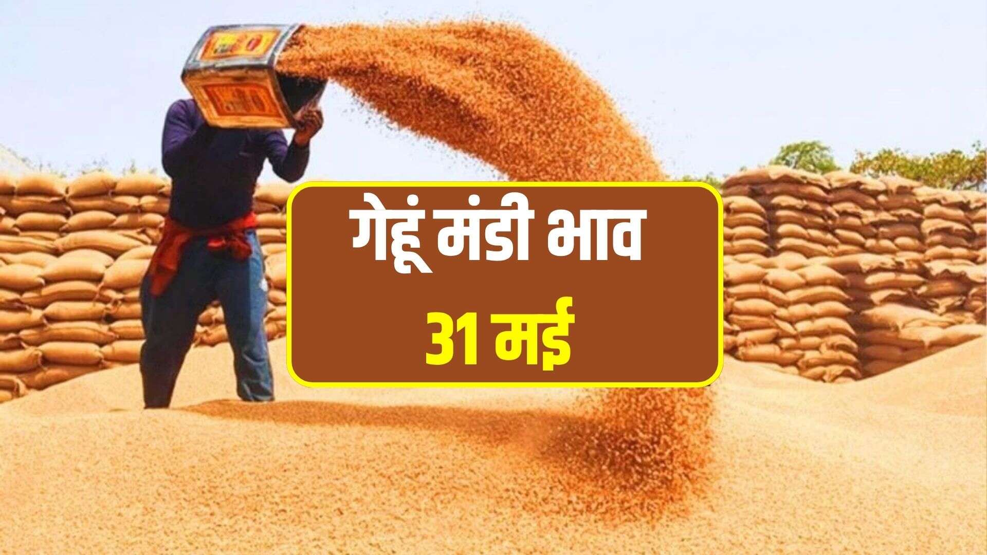 Gehun Mandi Bhav Today 31 May: राजस्थान से लेकर बिहार तक, जाने शनिवार ...